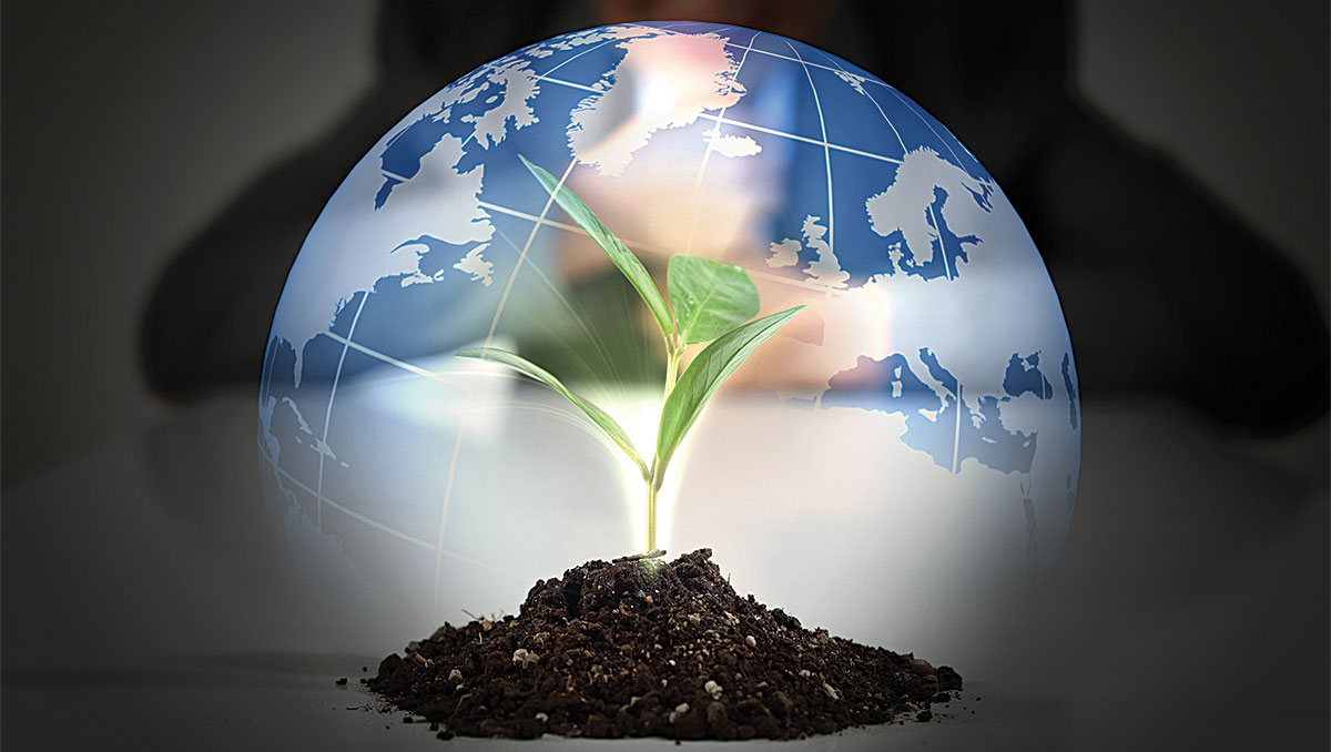 Sprout Out: Talking About Site Remediation | American Drycleaner