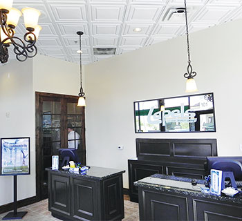 Plant Design Awards: Special Honors, Outstanding Strip Location: Lapels ...