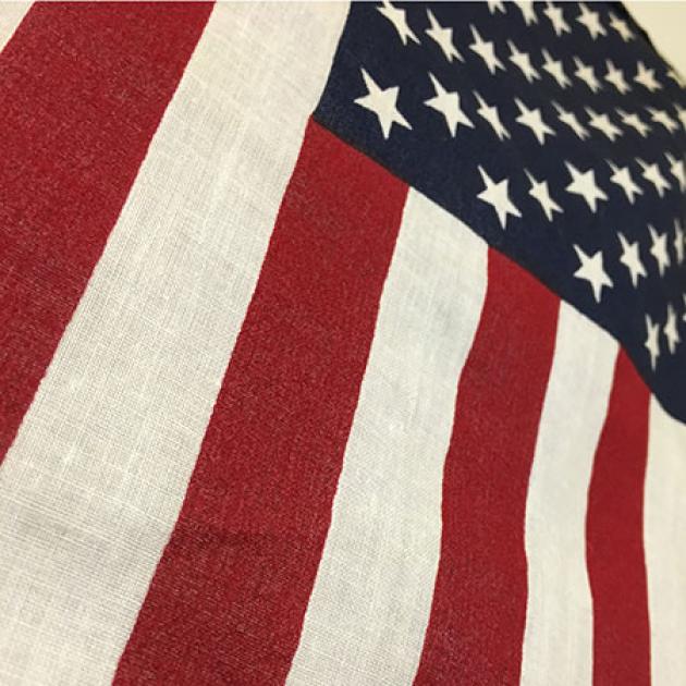 We Want You! (To share your patriotic drycleaning stories) | American ...